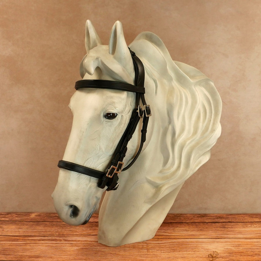 Signum Equestrian USA