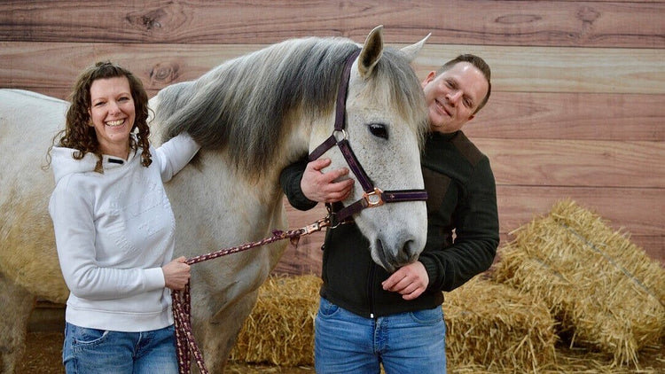 Signum Equestrian USA